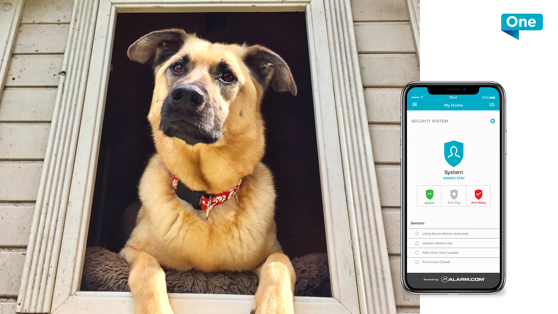 Do I Need A Security System If I Have A Dog? | OneComm